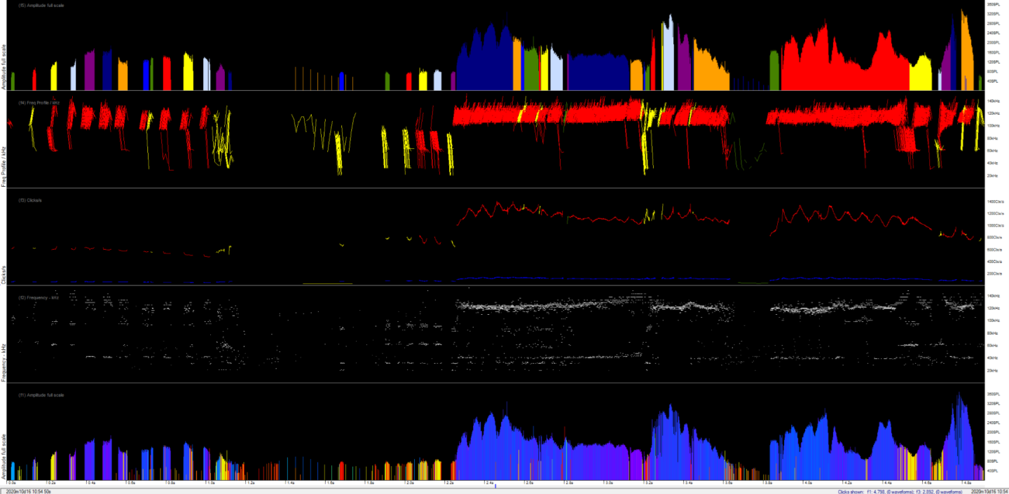 F-POD shows the social communication of the Boto - Chelonia
